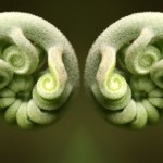 The 3 Doors | Transforming Lives Through Meditation